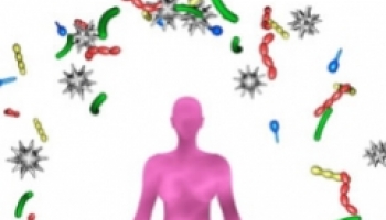 ALMIDONES RESISTENTES Y MICROBIOTA INTESTINAL